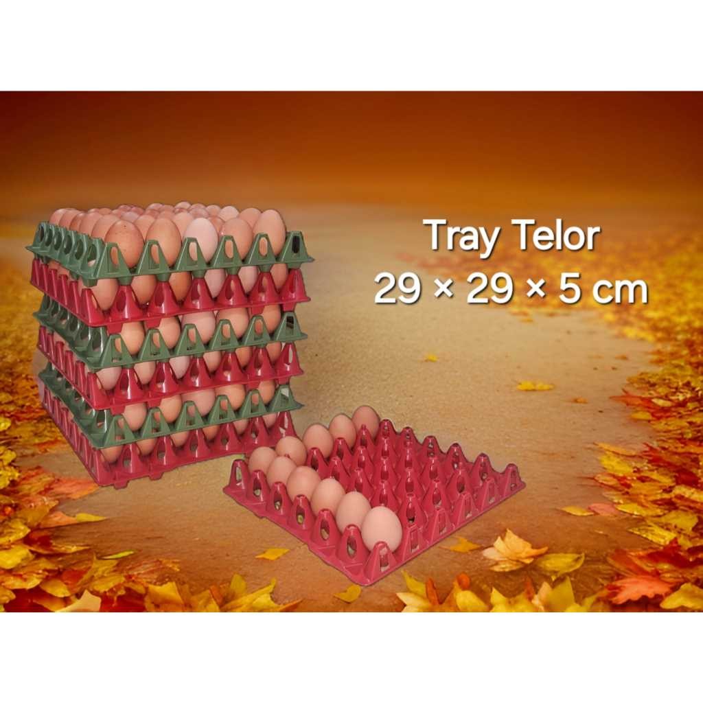 Jual Tray Telur Tempat Wadah Telur Ayam Telur Bebek Praktis Egg Tray ...