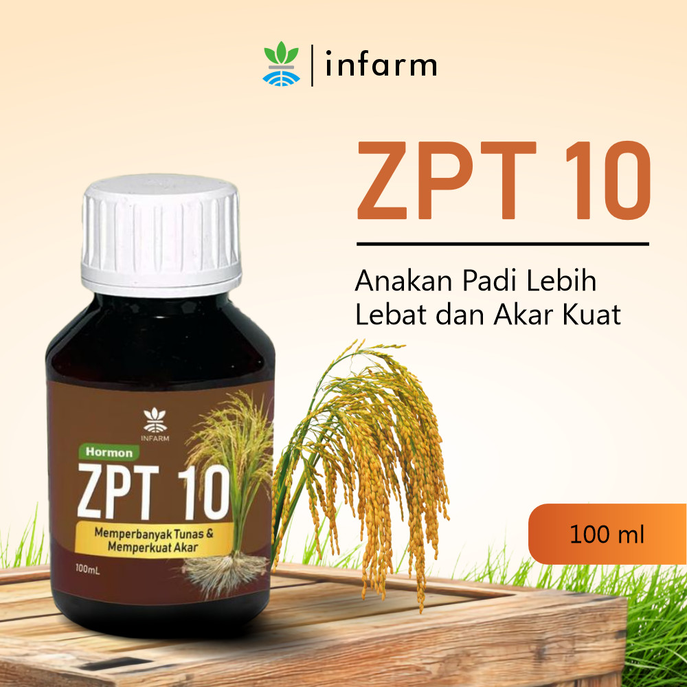 Jual INFARM - Perangsang Akar ZPT 10 Penguat Batang Akar Tanaman 100ML ...