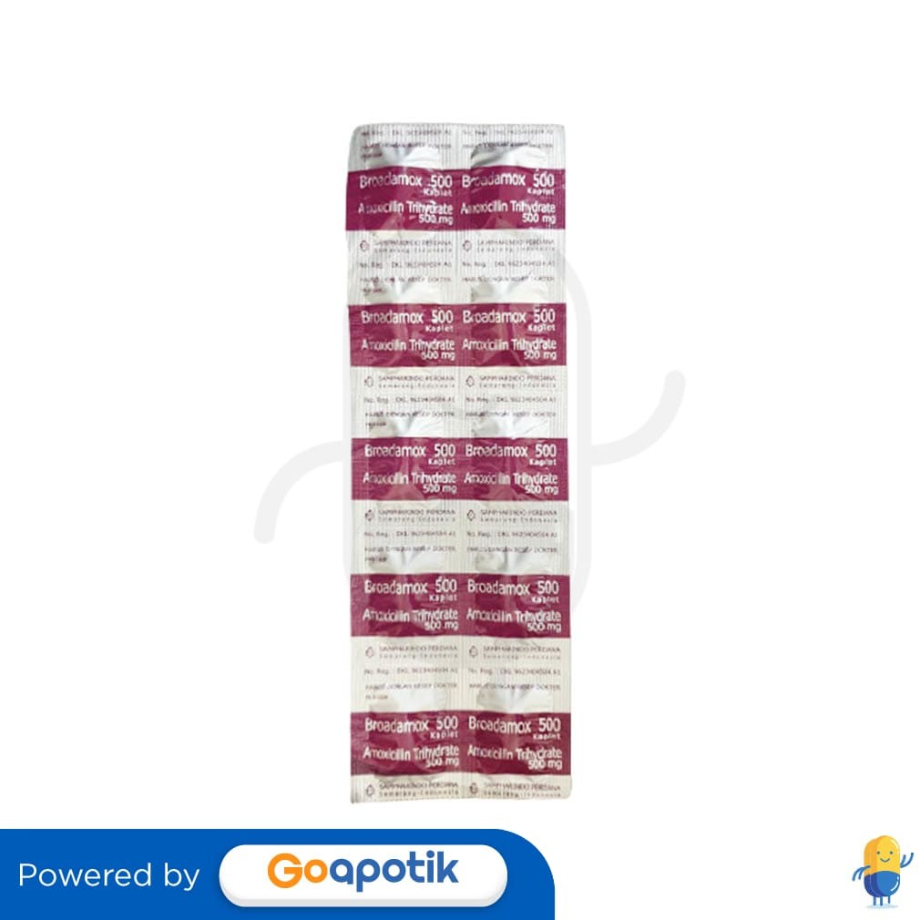 Jual Broadamox 500 Mg Strip 10 Kaplet | Shopee Indonesia