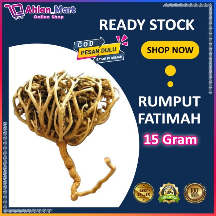 Jual Rumput Fatimah Kaff Maryam Fatimah Dari Arab Saudi Ukuran 15 Gram ...