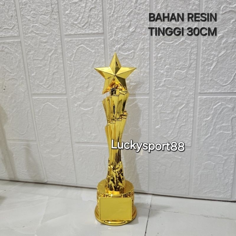 Jual custom trophy Piala RESIN IMPOR BINTANG murah apa aj 1 buah ...