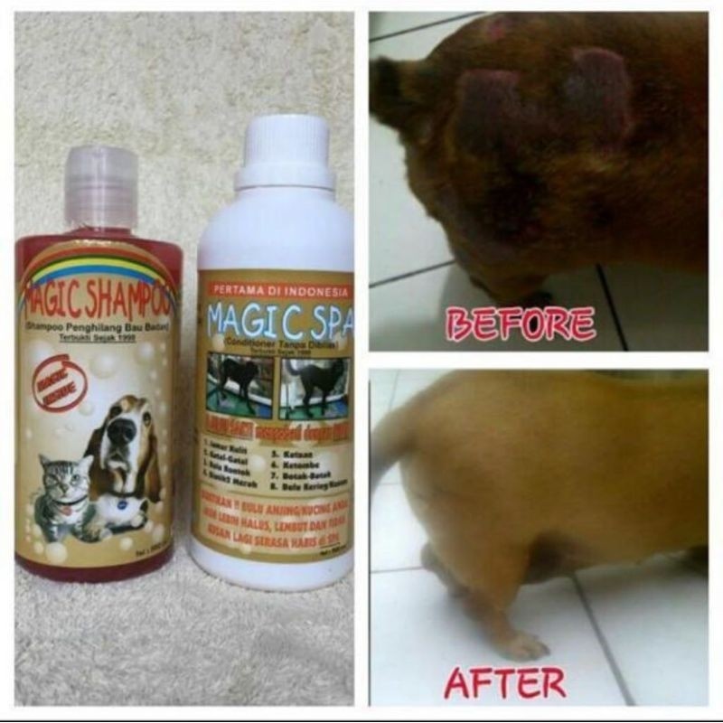 Jual MAGIC SHAMPOO & MAGIC SPA CONDITIONER 500ml Dog Cat Shampoo Anjing ...