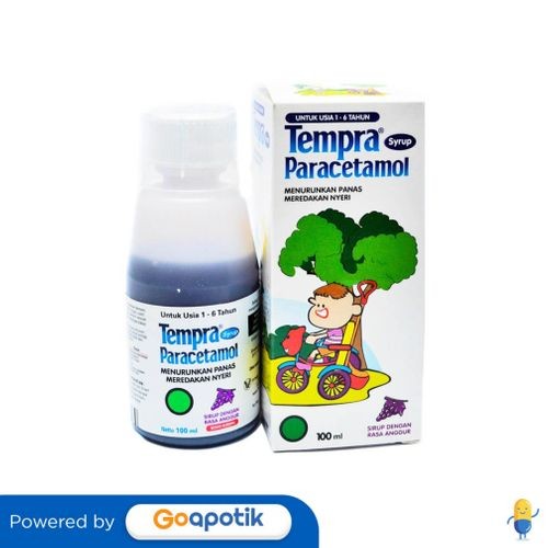 Jual Tempra Rasa Anggur Sirup 100 Ml | Shopee Indonesia