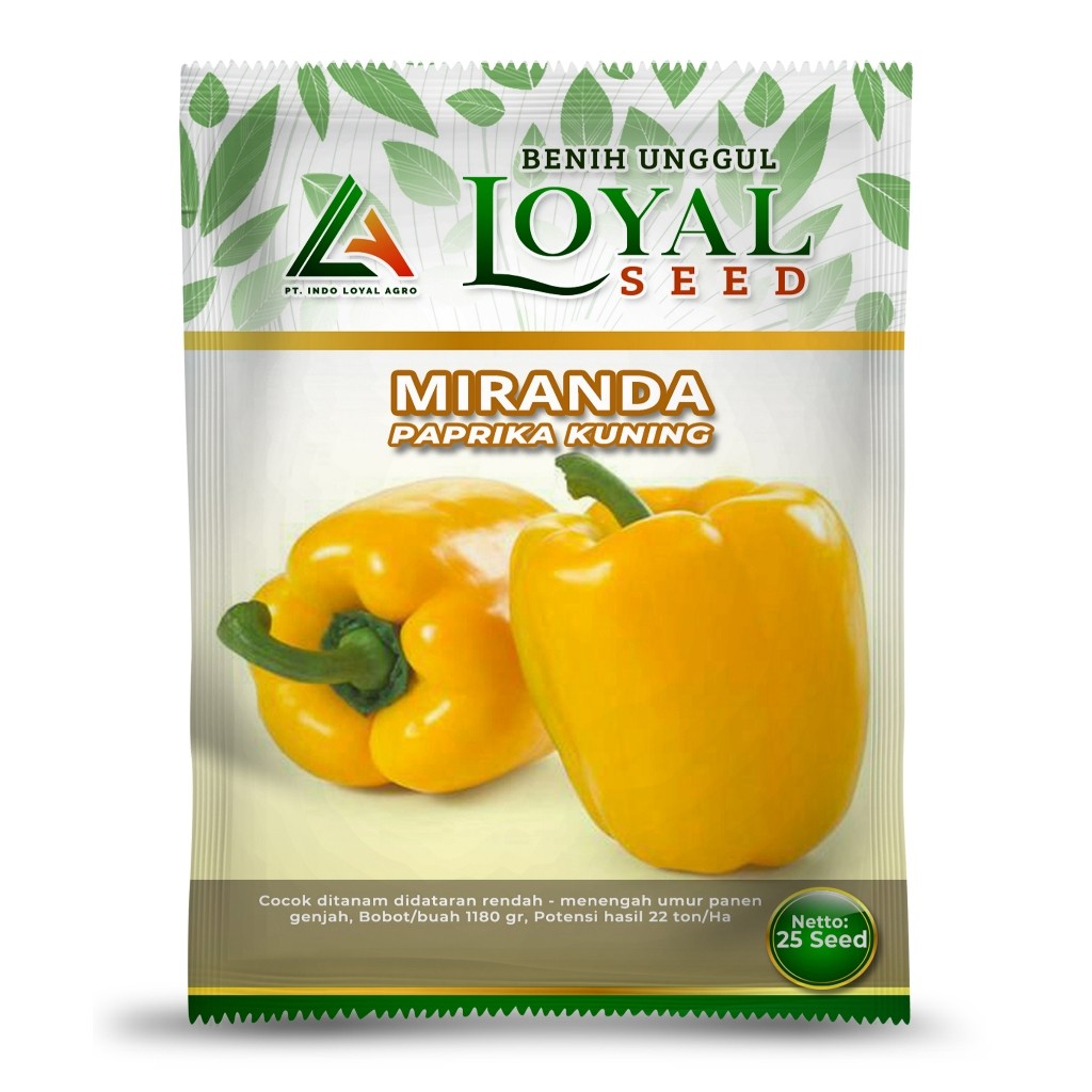 Jual Benih SP Paprika Kuning MIRANDA isi 25 Biji Bibit CAP LOYAL SEED ...