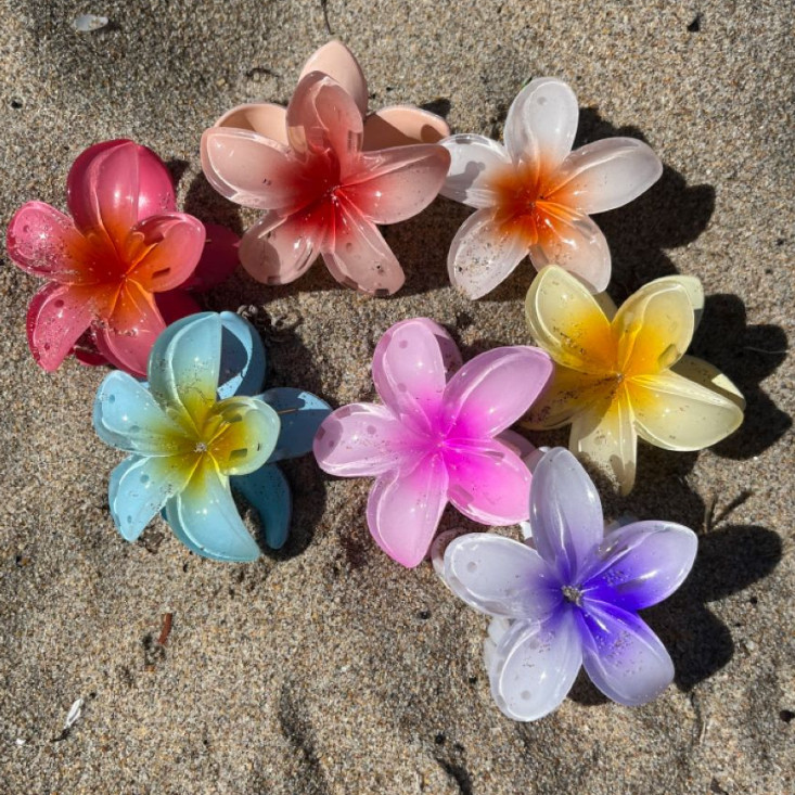 Jual Jepit Rambut Plumeria Bunga Kamboja Warna Soft Ukuran 8cm | Shopee ...