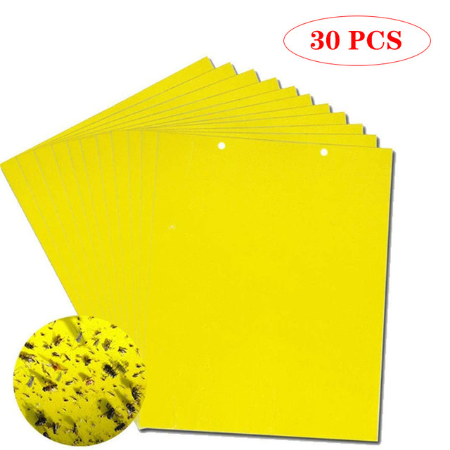 Jual 30-100pcs Strong Fruit Fly Traps Bugs yellow Sticky Board pest ...