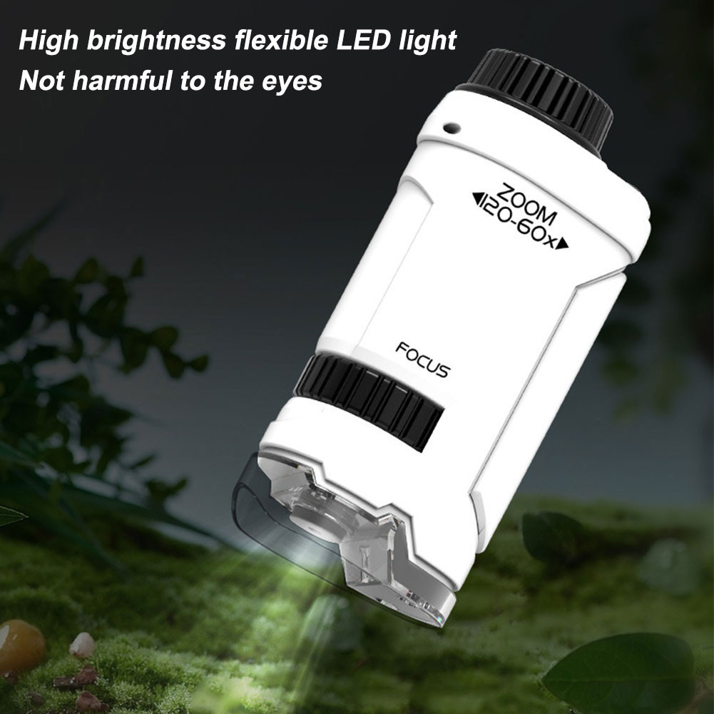 Jual 60-120x Portable Microscope LED Lighted Handheld Microscope Little ...