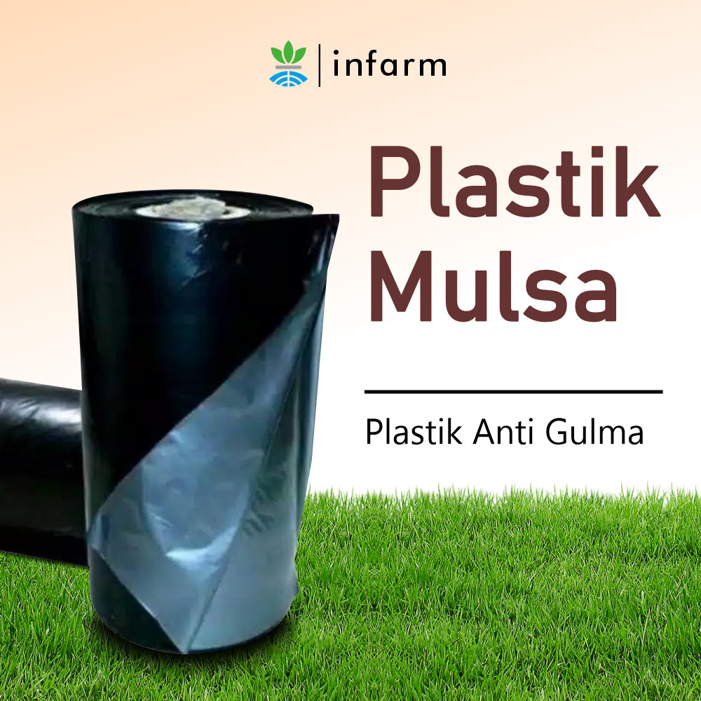 Jual INFARM - Mulsa Plastik Hitam Perak (MPHP) Pencegahan Kutu Daun ...