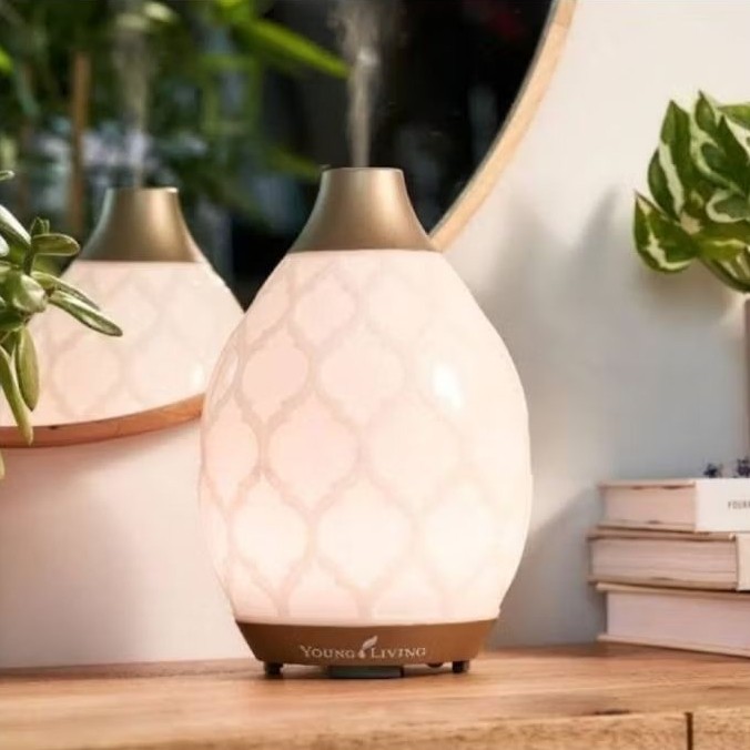 Jual DESERT MIST DIFFUSER YOUNG LIVING ( HANYA DIFFUSER TANPA OIL ...