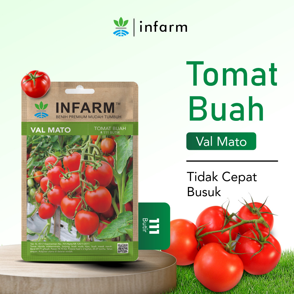 Jual INFARM - Benih Buah Tomat Valmato Bibit Buah Tomat Manis Biji Tomat Buah Valmato Tomat Buah ...