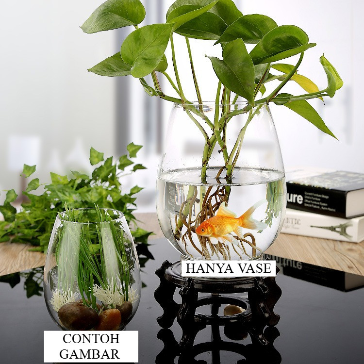 Jual Vase Kaca Mini | POT Kaca bening | Vas Kaca Tanaman Air Hidroponik ...