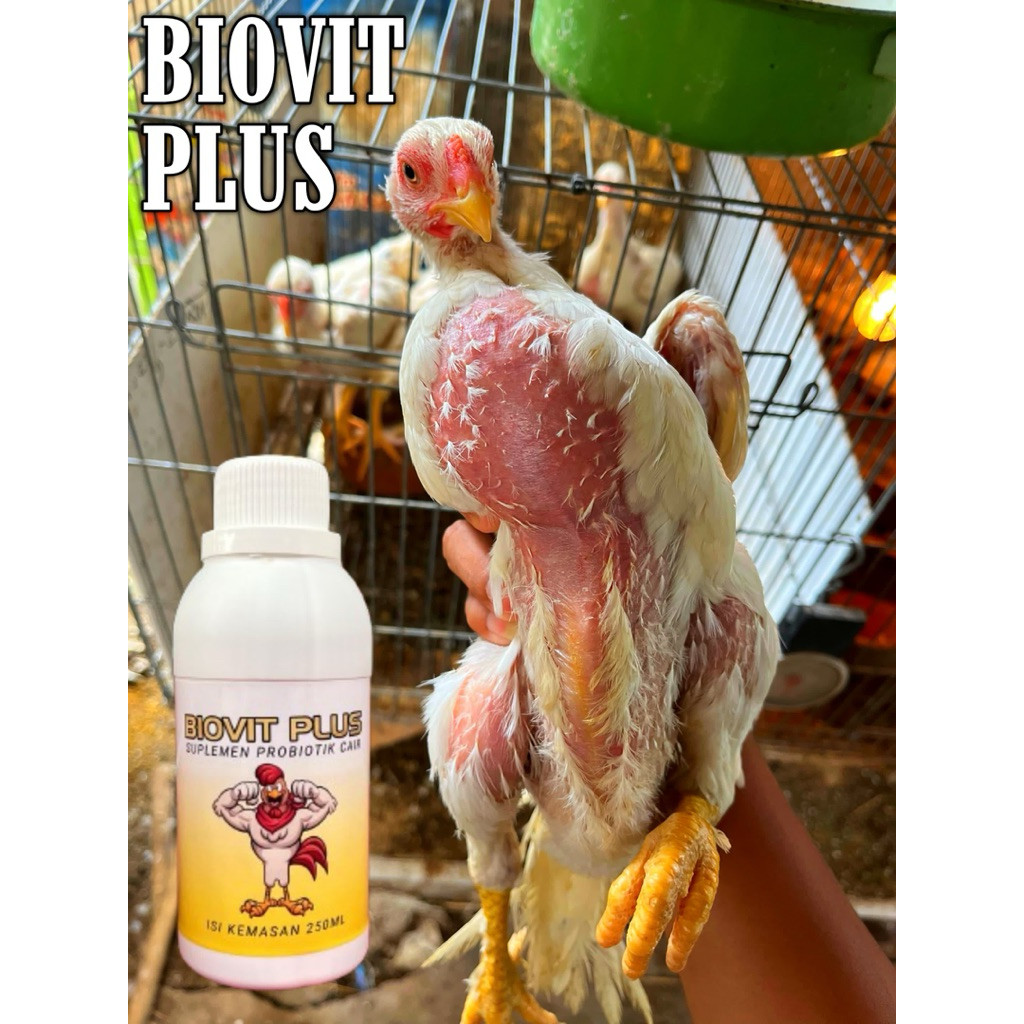 Jual Obat Ayam Siap Tarung Manjur Biovit Plus vitamin probiotik unggas ...