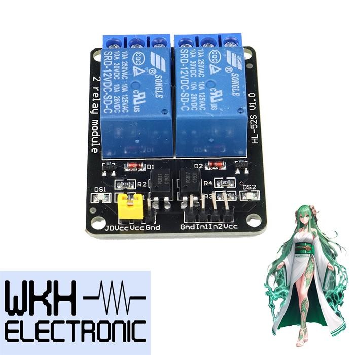 Jual ARC99 Relay 12v 2 Channel Module Arduino Raspberry Pi 2Ch | Shopee Indonesia