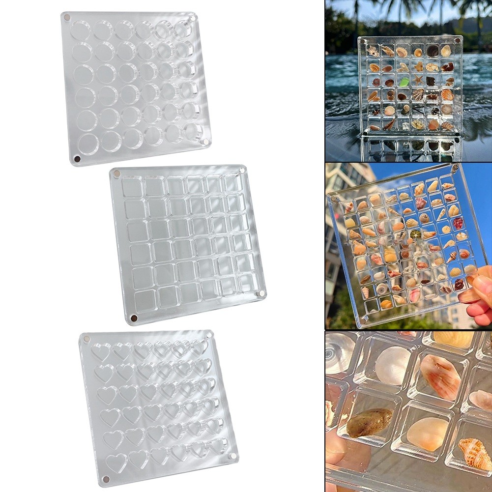 Jual 36 Grids Acrylic Seashell Display Box Magnetic Seashell Display ...