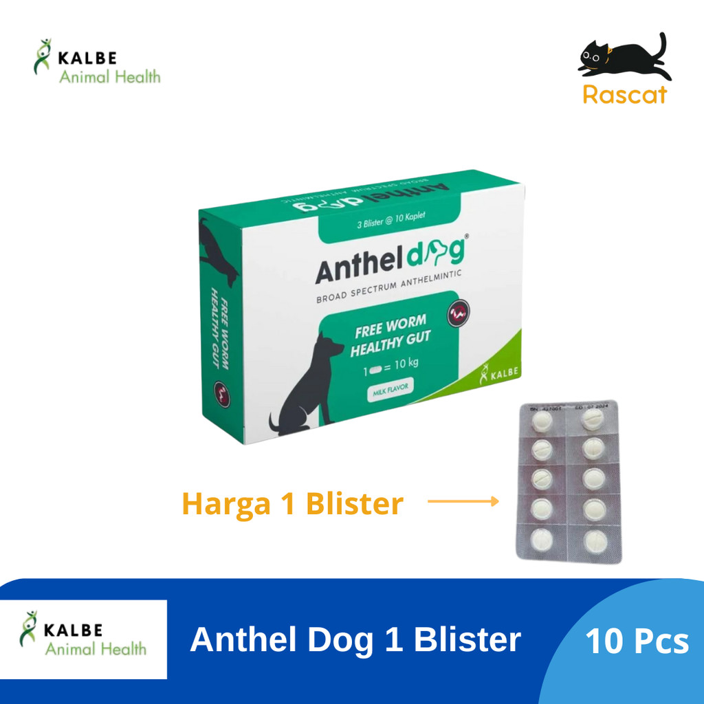 Jual Anthel Dog / Obat Cacing Anjing 1 Blister / Original Kalbe Animal ...