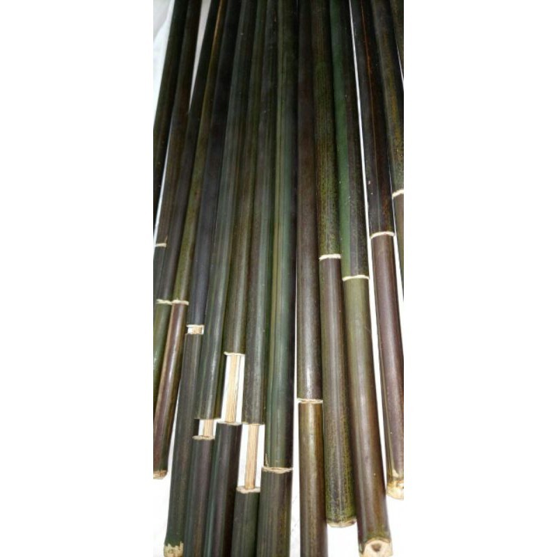 Jual Mainan Tradisional Pletokan Tembakan Bambu dor doran | Shopee ...