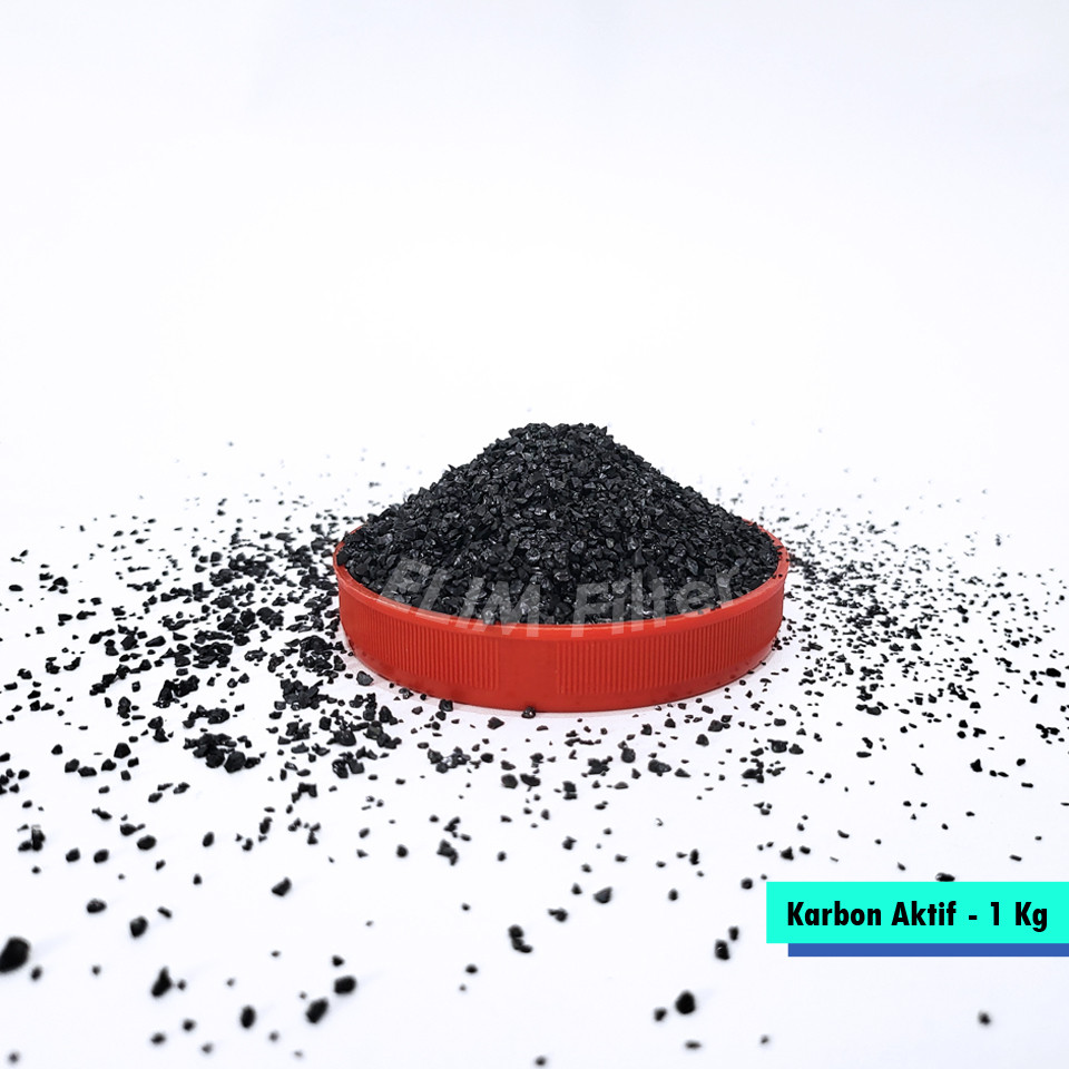 Jual Karbon Aktif 1 Kg | Shopee Indonesia