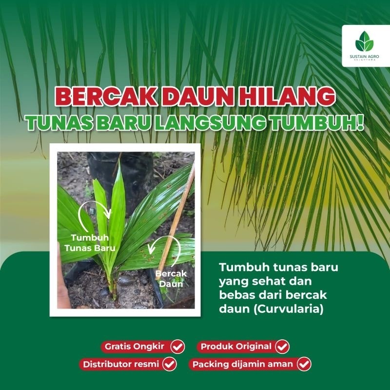Jual Aussie Nutrisi Obat Sawit 500ml | Obat Ganoderma, Busuk Pucuk ...