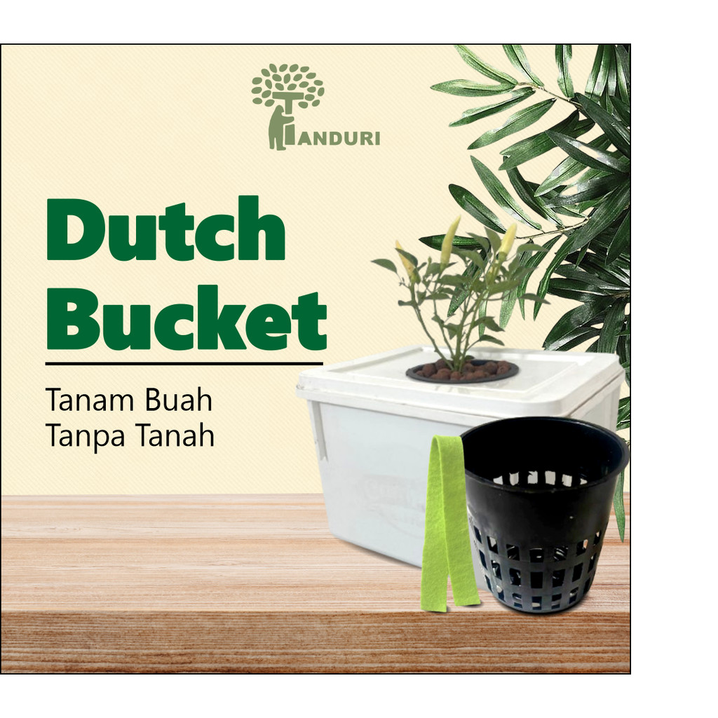 Jual TANDURI - Bak Hidroponik Dutch Bucket Volume 8L Bonus Netpot 10 cm ...