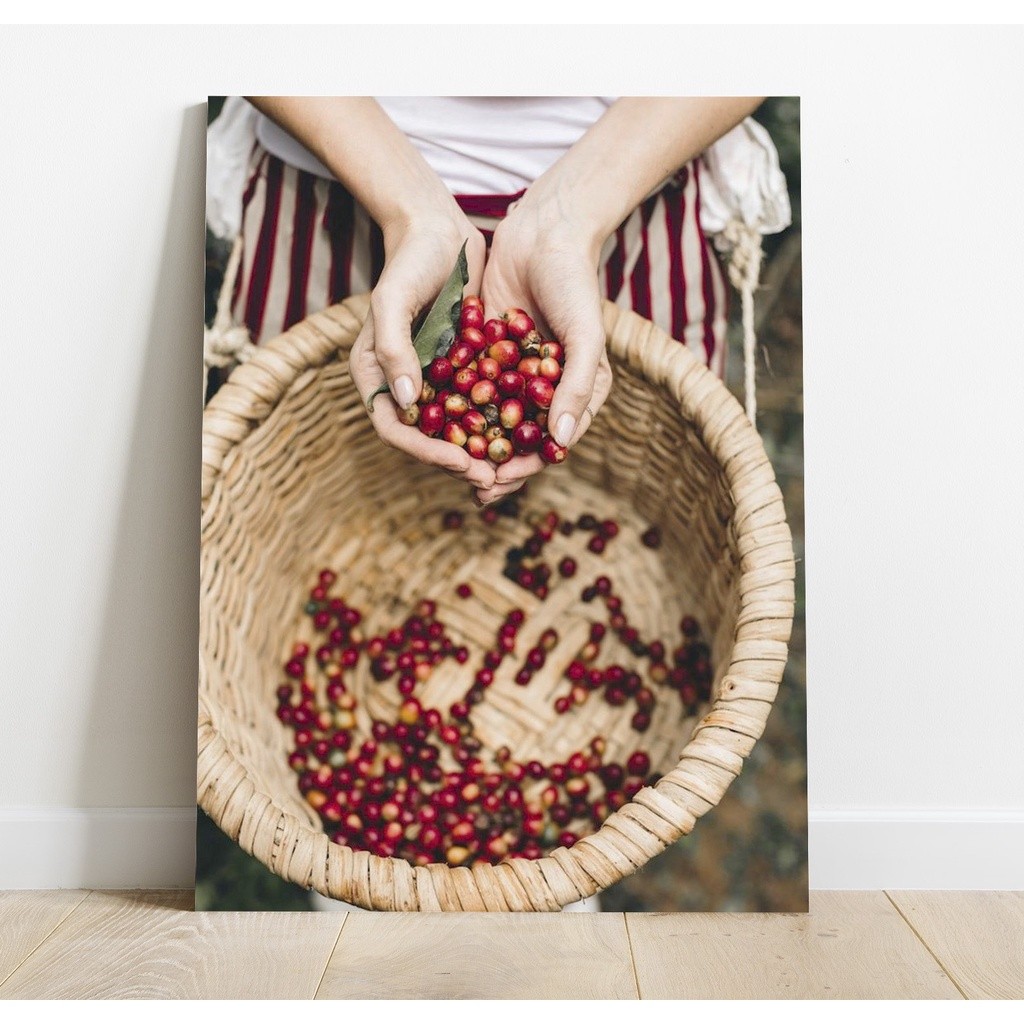 Jual Poster Kopi Petik Memetik Coffee Fresh Tangan Hand Hiasan Dinding ...