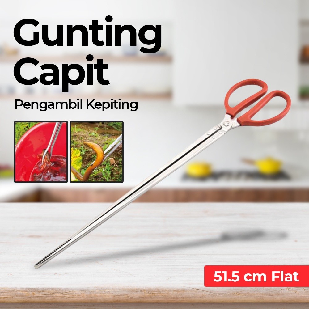 Jual Gunting Capit Panjang Pengambil Kepiting Belut Ikan | Shopee Indonesia