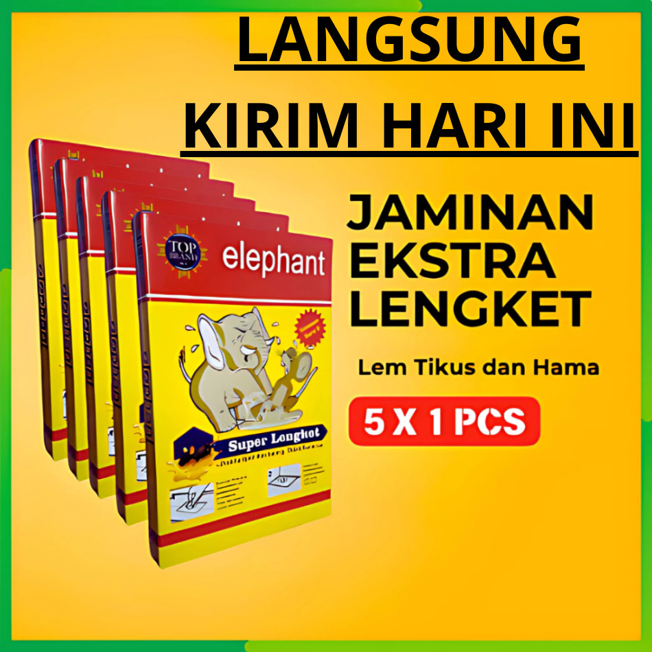 Jual Papan Super Lengket Penangkap Hama Pengusir Kecoa Cicak Mouse Glue ...