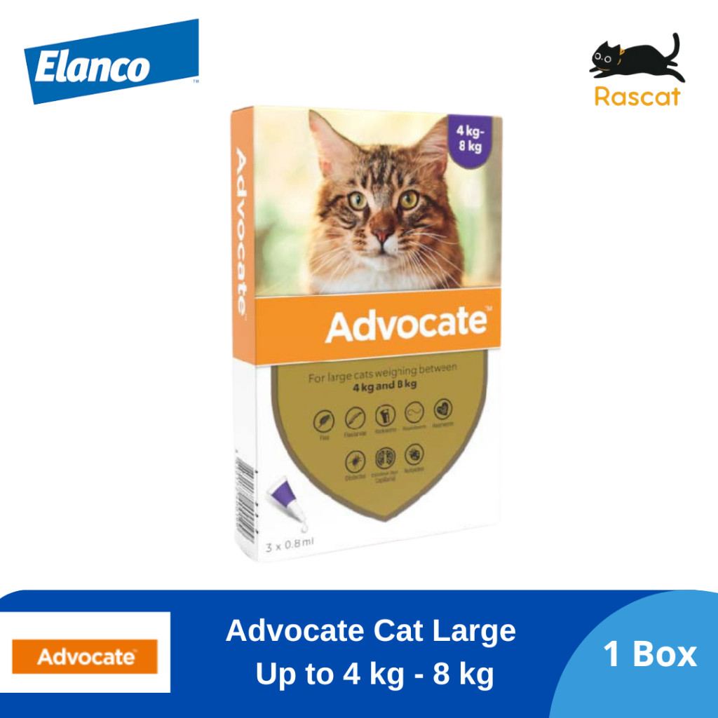 Jual Advocate Cat Large Berat 4 - 8 Kg / Obat Kutu Kucing Adult 1 Box ...