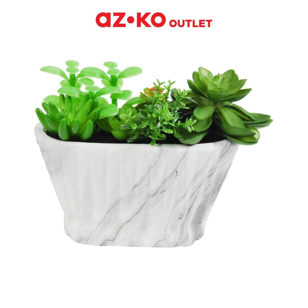 Jual AZKO Outlet Arthome 14 cm Tanaman Artifisial Sukulen Zilia Marble ...