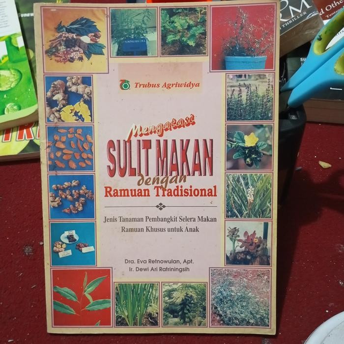 Jual Mengatasi Sulit Makan Dengan Ramuan Tradisional by Dra Eva ...