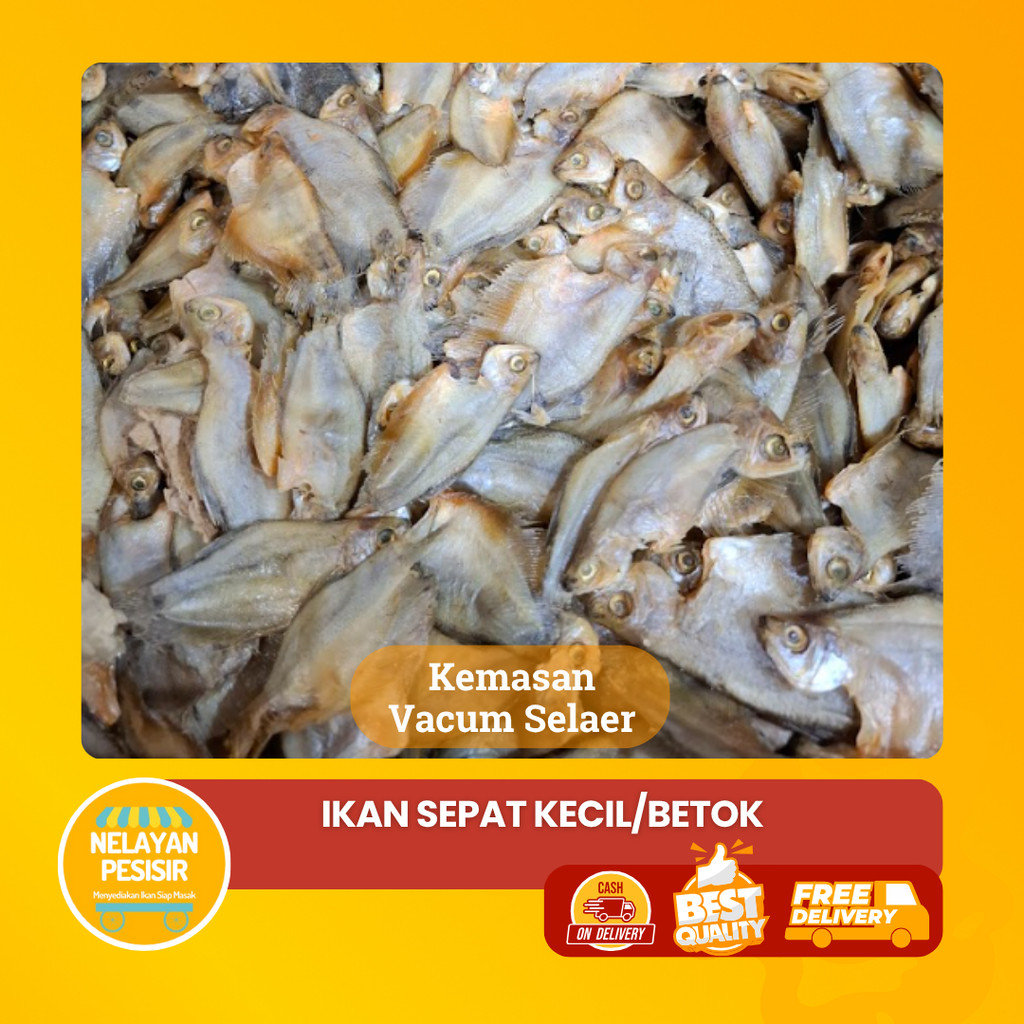 Jual Ikan Asin Sepat Rawa Kecil Dengan Kepala Vakum Pack Aman Bersih ...