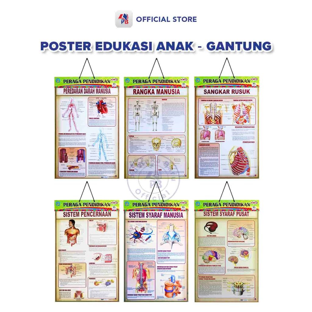 Jual Poster Edukasi Anak / Gambar Edukasi Anak / Poster Anak Edukasi ...