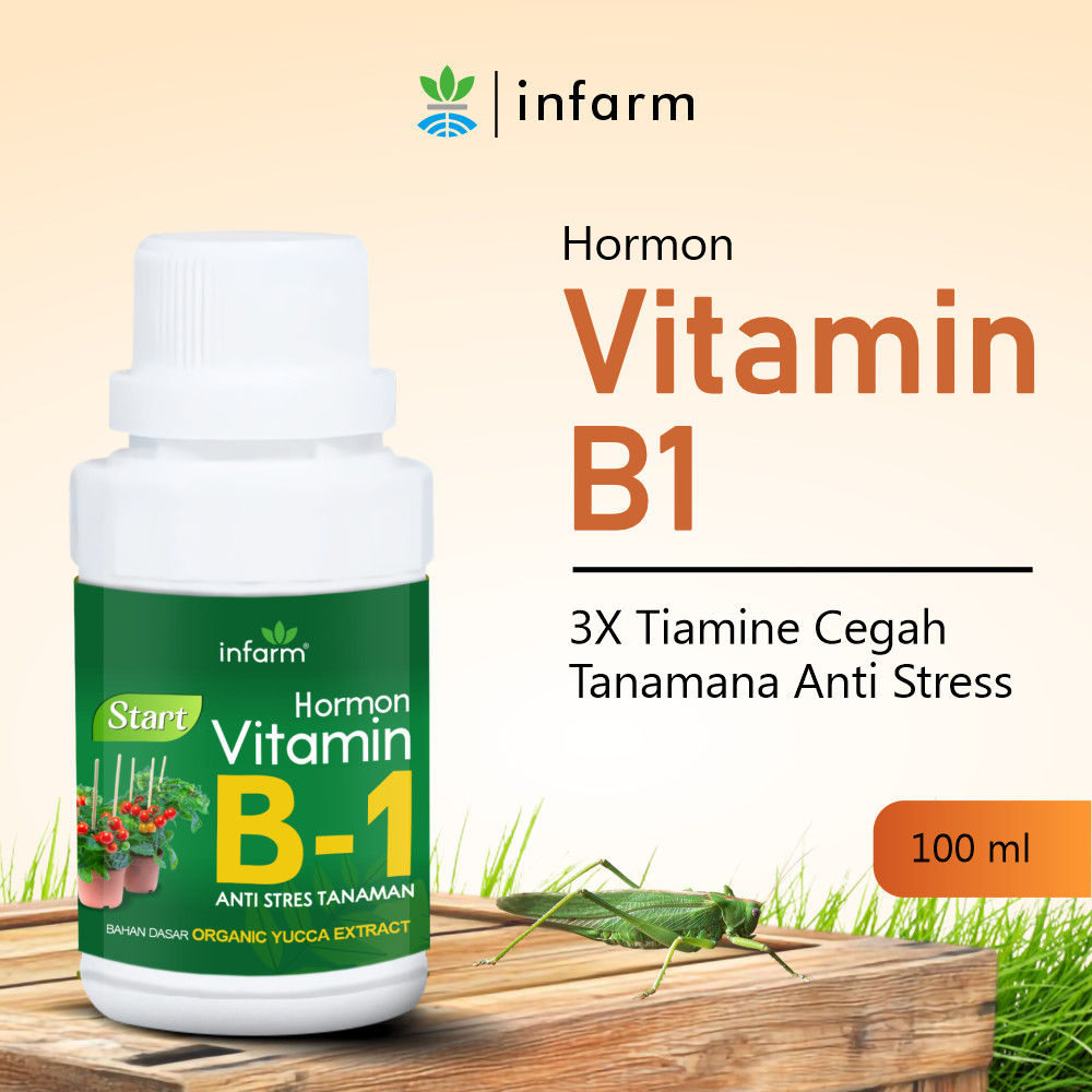 Jual INFARM - Vitamin B1 Premium Nutrisi Tanaman Anti Stress Kualitas Impor Vitamin Tanaman ...