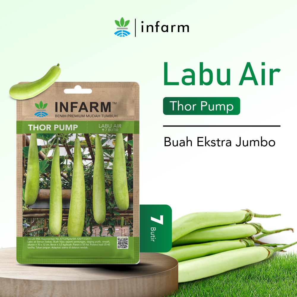 Jual INFARM - Benih Unggul Sayur Daun Labu Air Tanaman Berkualitas ...