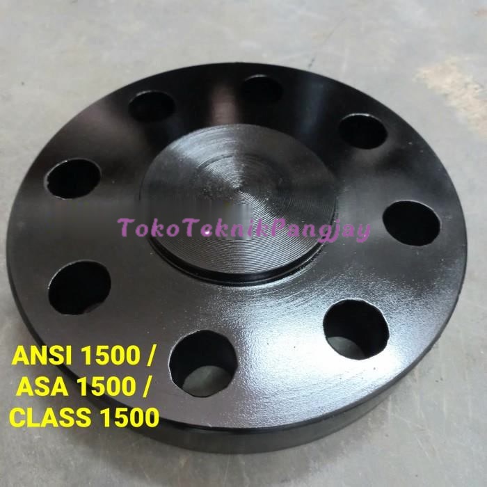 Jual Blind Flange 6 inch ASA 1500 / Ansi 1500 / Class 1500 RF / DN 150 CS | Shopee Indonesia