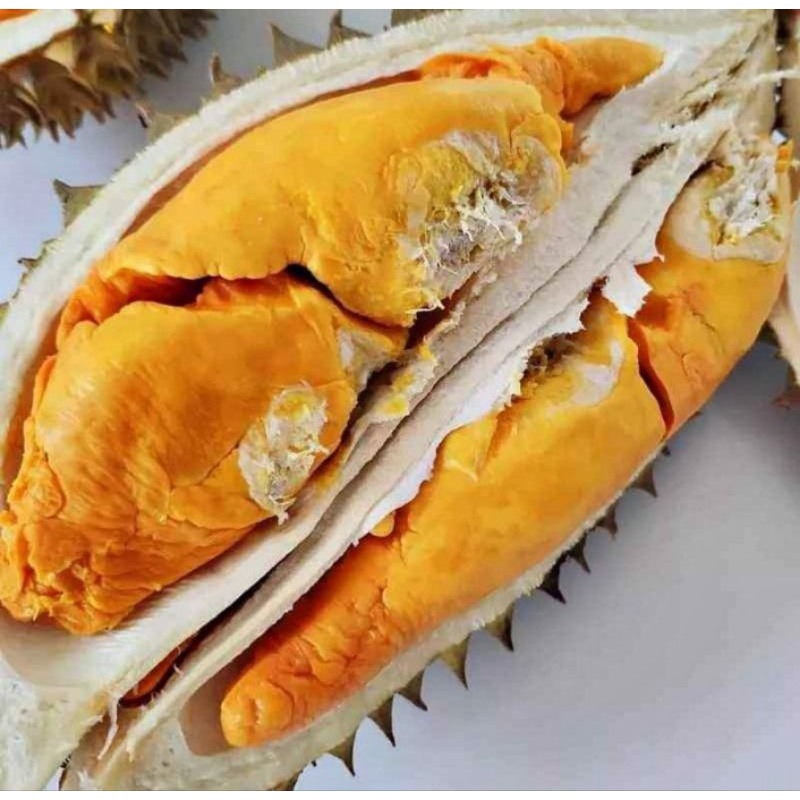 Jual Bibit Durian Super Tembaga Bisa ditanam dalam pot / tabulampot ...