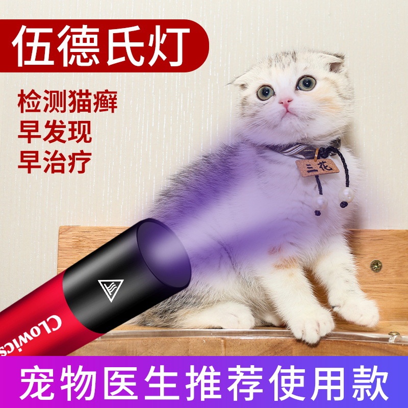 Jual Senter Ultraviolet Neon Deteksi Penyakit Kucing Lumut Kurap Jamur ...