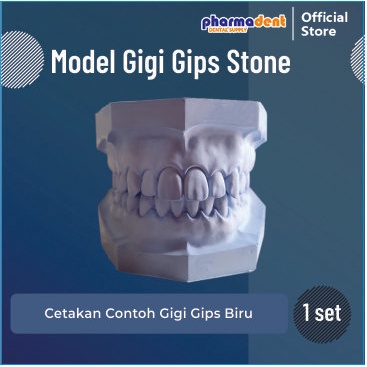Jual Pharmadent - Model Gigi Gips Model Study Gipsum Praktikum - Gips ...