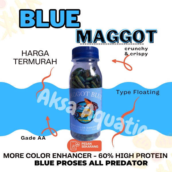 Jual Blue Maggot magot kering Kemasan Botol 100ml | Shopee Indonesia