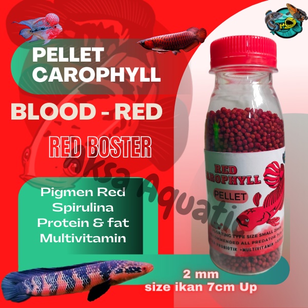 Jual pellet Red Carophyll Pakan Ikan channa premium Kemasan Botol 100ml ...