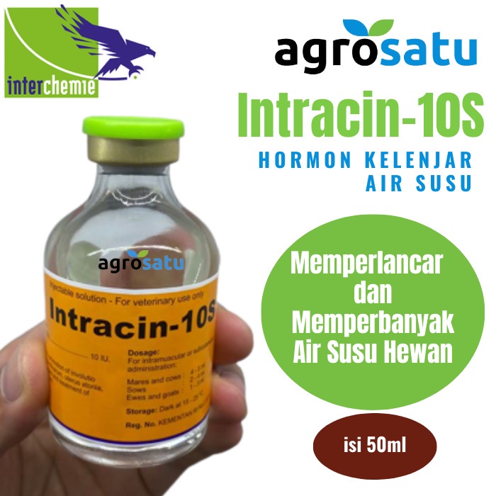 Jual Intracin 10s 50 ml Injeksi Obat Hormon Oxytocin Memperlancar Air Susu ASI Induk dan ...
