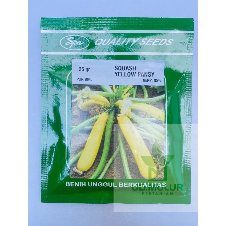 Jual Benih Cukini squash YELLOW PANSY 25gr dari QUALITY SEEDS | Shopee ...