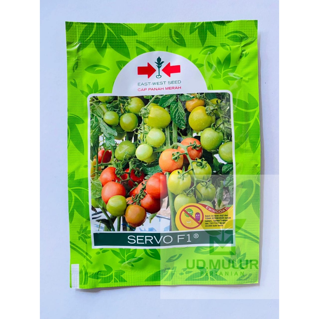 Jual Benih Tomat SERVO F1 isi 1750btr | Shopee Indonesia