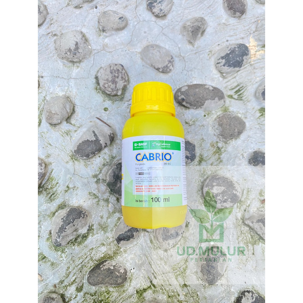 Jual Fungisida Basf CABRIO 250EC 100ml | Shopee Indonesia