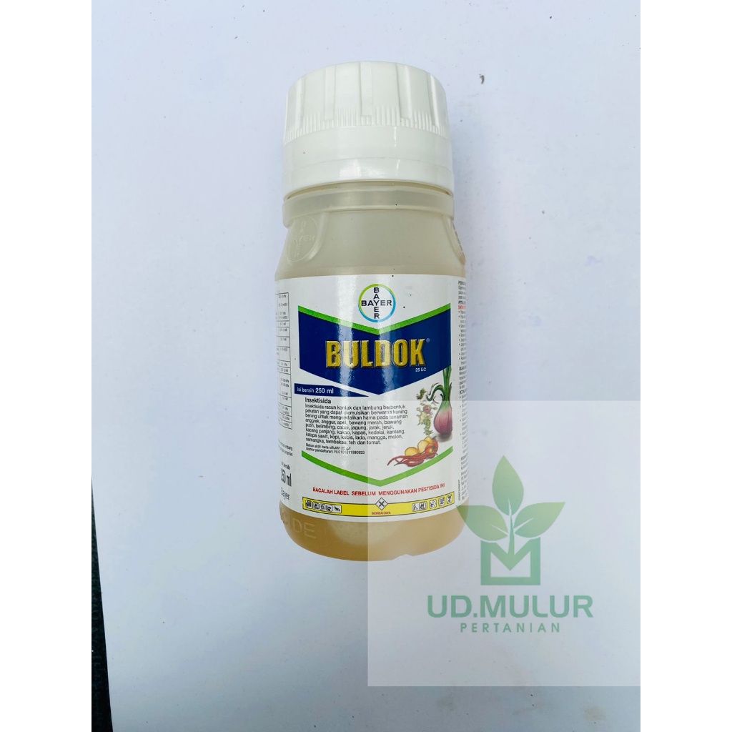 Jual Insektisida Bayer BULDOK 25EC 250ml | Shopee Indonesia