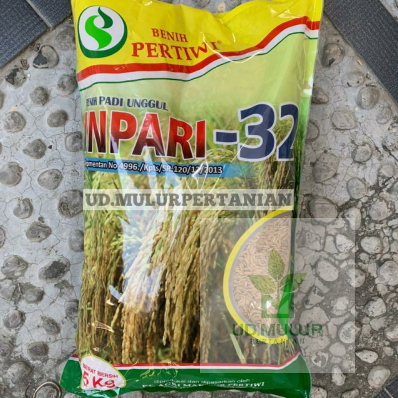 Jual Benih Padi Unggul INPARI 32 dari Benih Pertiwi isi 5 kg tahan penyakit HDB (hawar daun ...