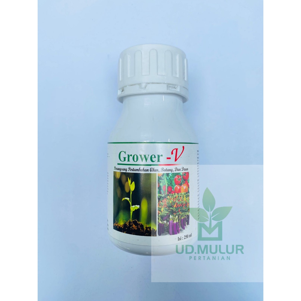 Jual pupuk perangsang pertumbuhan akar batang dan daun GROWER V 250 ml ...