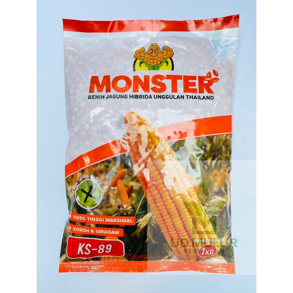 Jual Benih jagung hibrida MONSTER KS-89 isi 1kg dari KS SEED | Shopee Indonesia