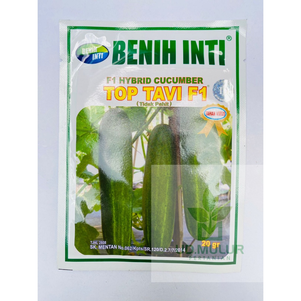 Jual Benih timun F1 TOP TAVI isi 20gr dari PT DINASTY INTI AGRO SARANA ...