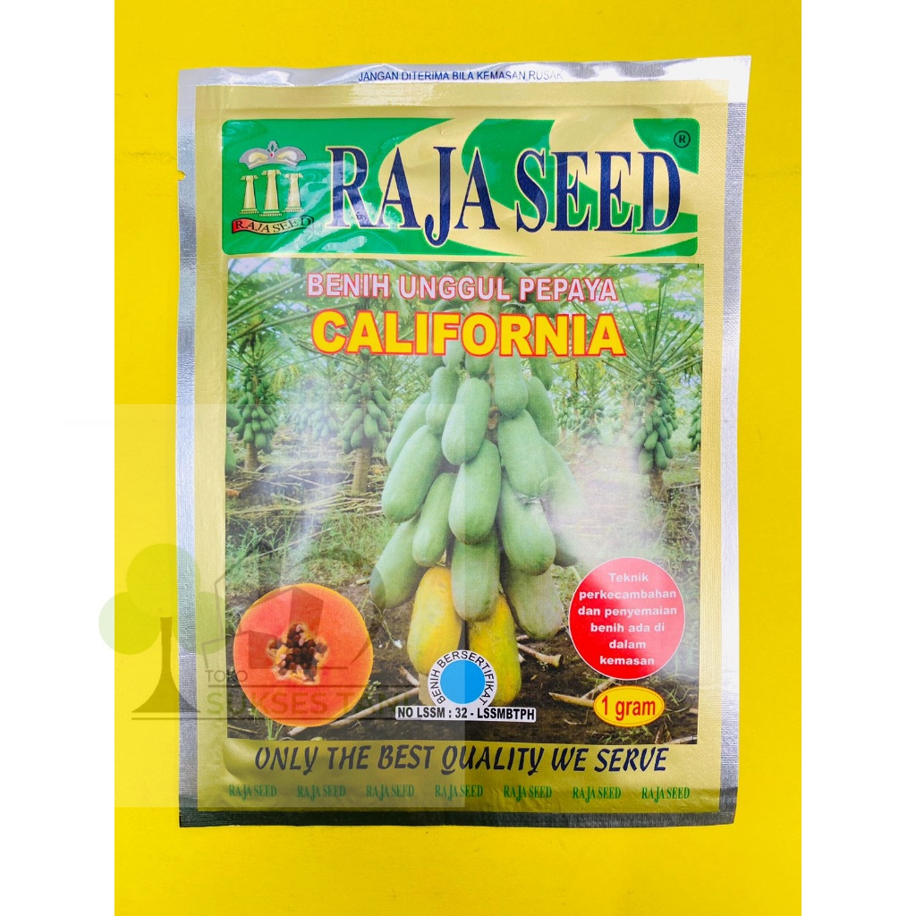 Jual Benih unggul pepaya CALIFORNIA dari raja seed kemasan 1gram ...