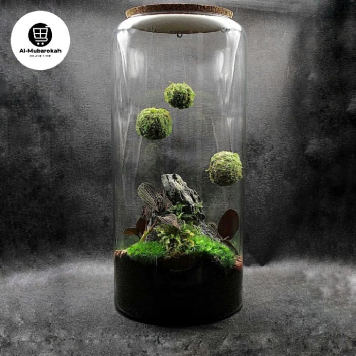 Jual Closed ECO Systeam Mini Planet Terrarium Siap Pajang | Shopee ...